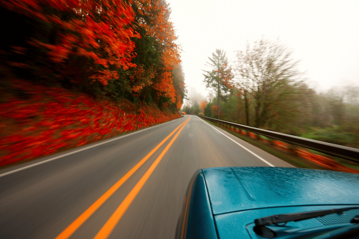 Autumn Road Trip Classics: 9 States For The Best Fall Foliage Drives