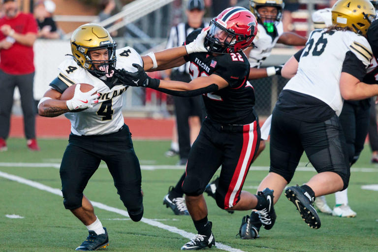 Ann Arbor-area football offensive stat leaders after Week 5