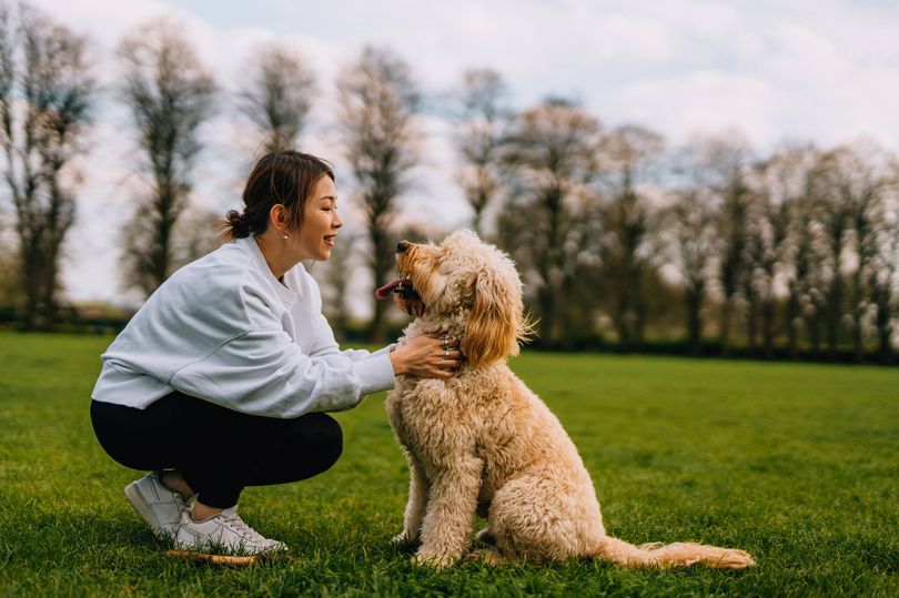 Dog training expert shares 'simple' trick to get pets to 'always come ...