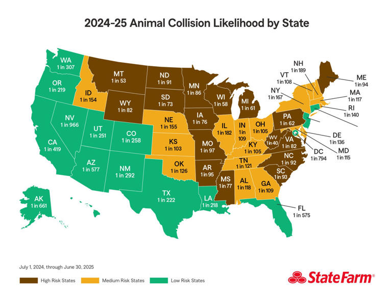 Hit a deer? You're not alone. Missouri ranks among states with highest ...