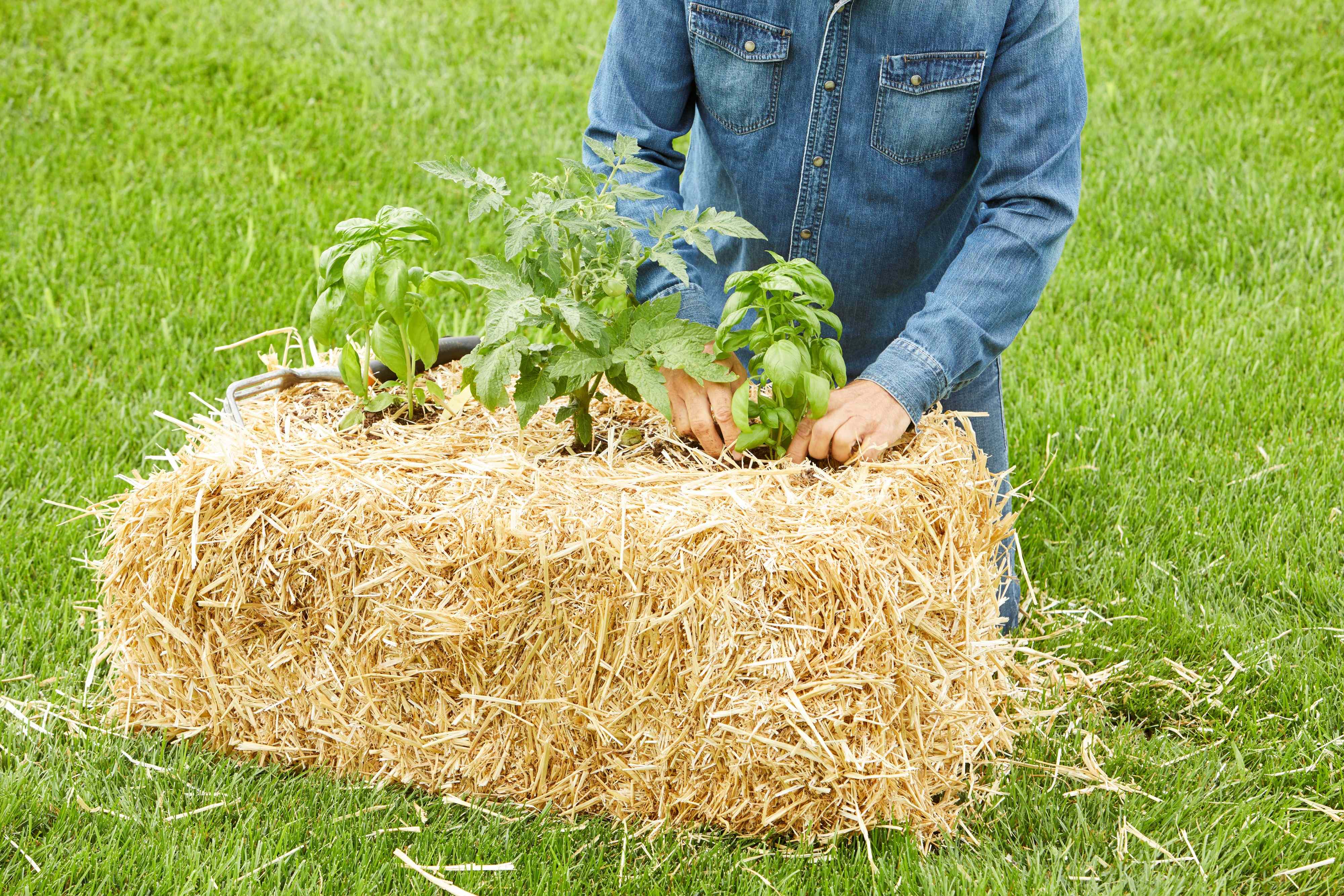 How to Turn Straw Bales into DIY Raised Garden Beds in 6 Simple Steps