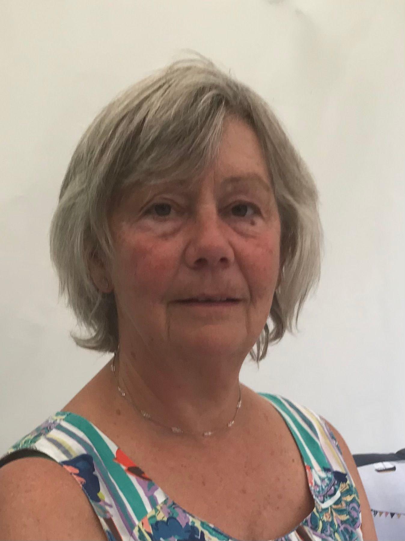 Column: Pilgrim's Progress: Mary Taylor: Flags and all that