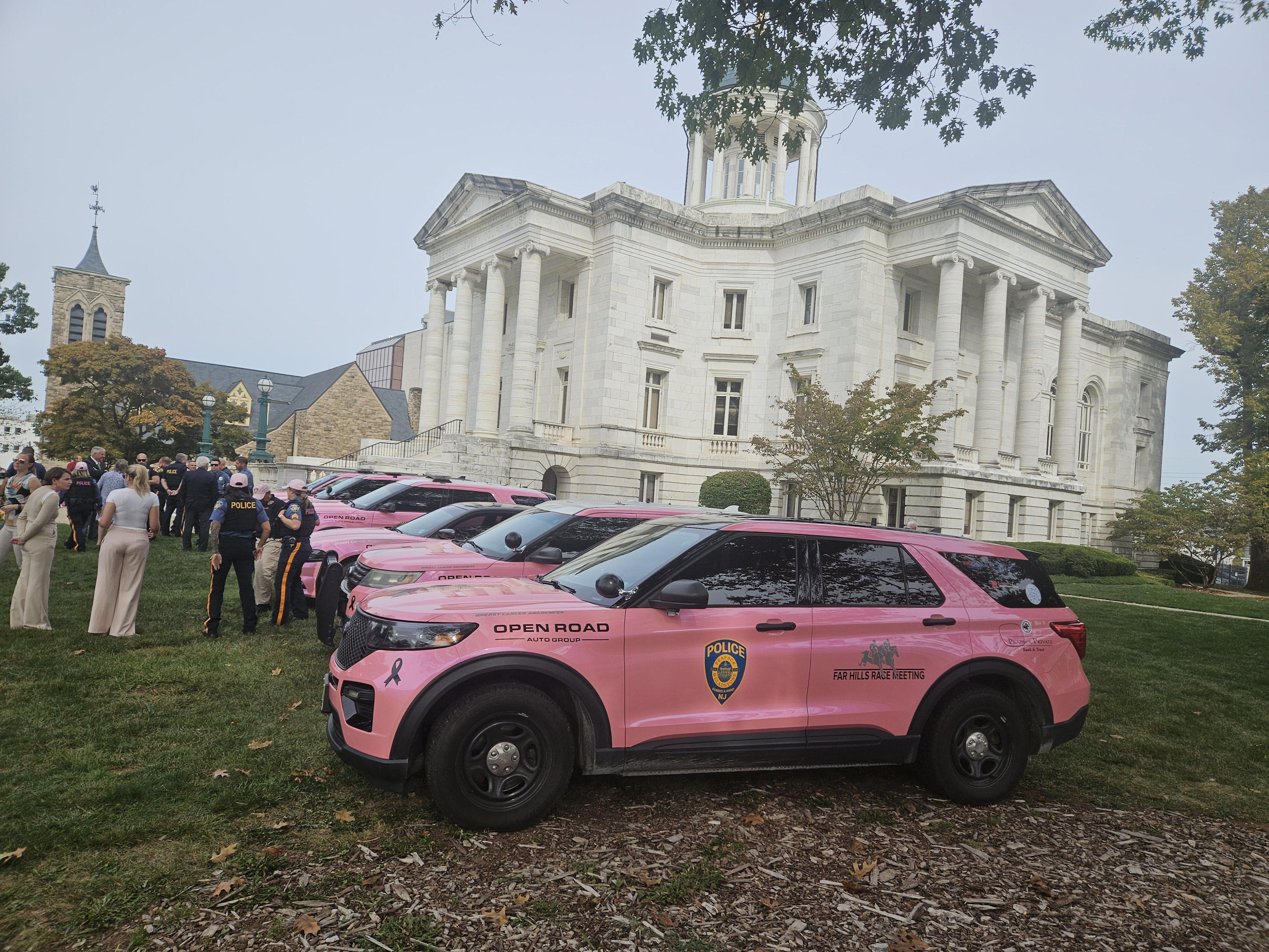 Police vehicles in Somerset County turn pink for Breast Cancer ...