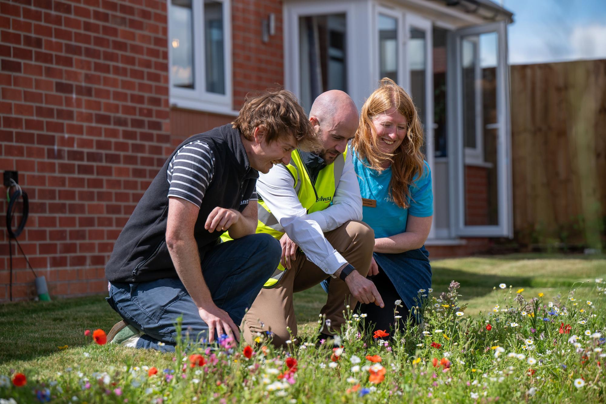 Bellway launches pioneering garden initiative to inspire homeowners to ...