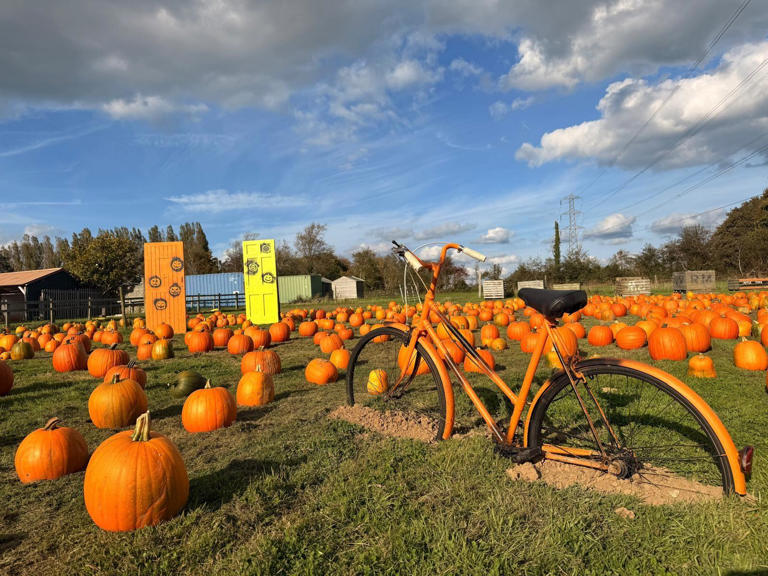Sharnfold Farm announces a spooktacular October of family fun