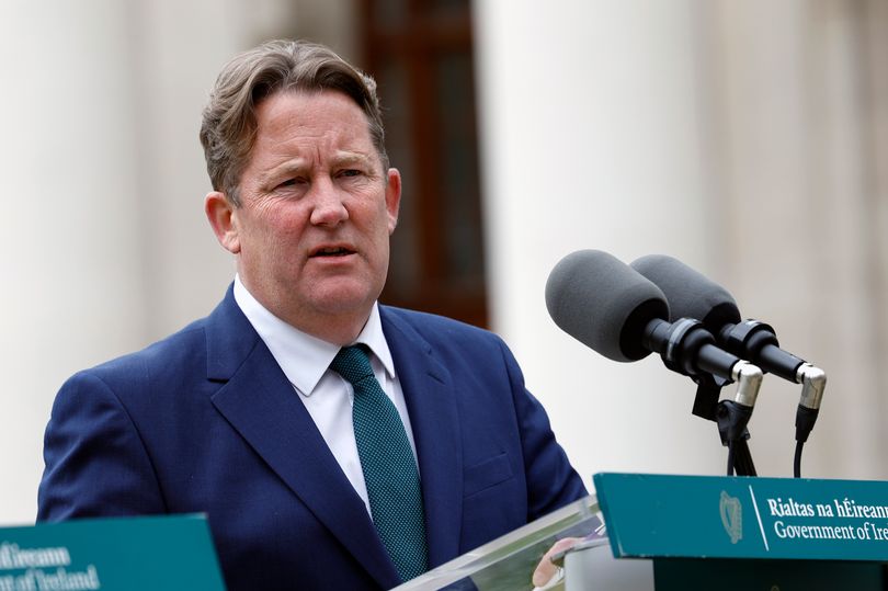Irish drivers will be offered €8,500 grants in new 'first come, first ...