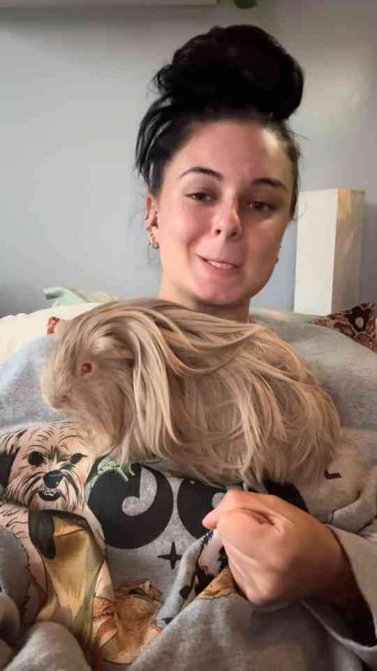 Cutest Pet Alert: Stanley Wins Again!