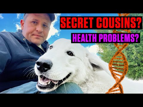 Getting the results of my dog's DNA test