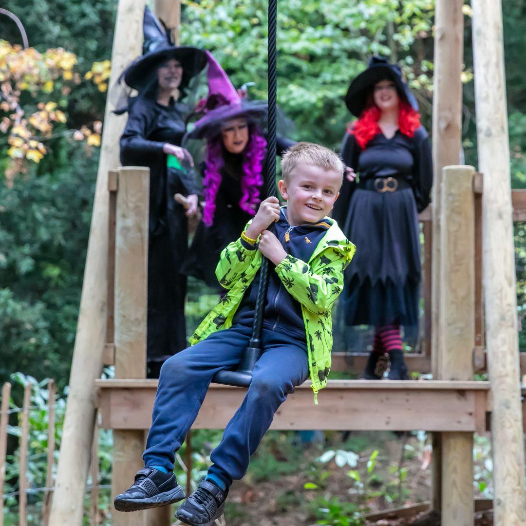Belvoir Castle invites families to ‘Go Bats For Belvoir’ this October ...