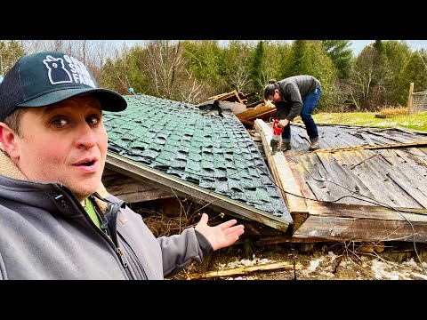 Destroyed 103-year-old barn uncovers farm renovation challenges