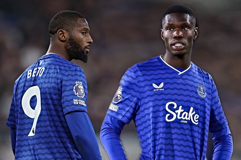 Thierno Barry and Beto can't escape unhelpful comparison as one Everton ...