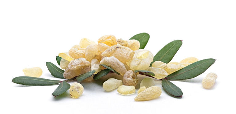 هل تعلمون ما هي طريقة استخدام المستكة للمعدة؟ إليكم الإجابة