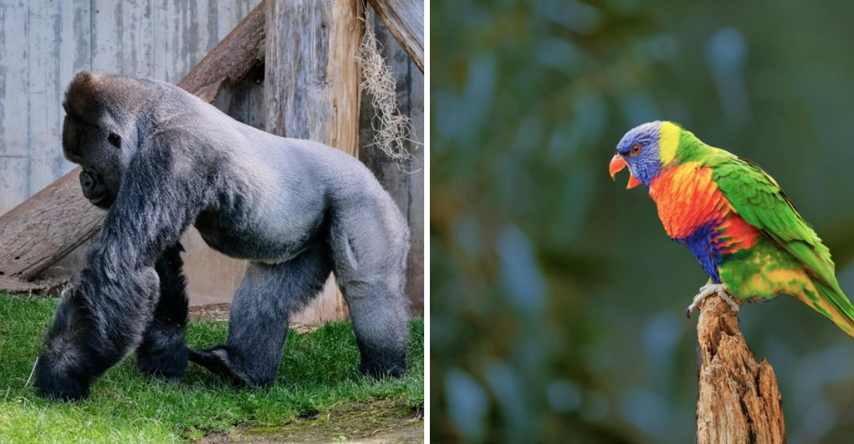 12 Times Animals Became Real-Life Heroes