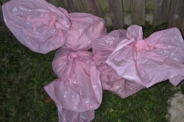 Dad slams 'disgusting' council service after more missed waste bag ...