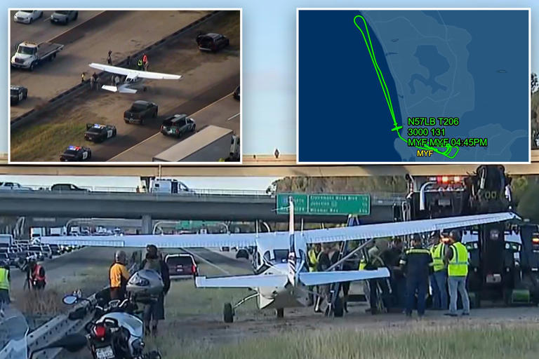 Wild video shows small plane make emergency landing on freeway during ...