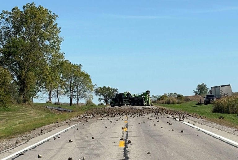 M-81 closed between Caro and Cass City after semi crash