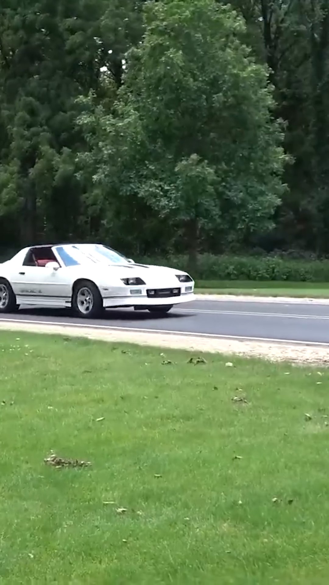 Cars That Bring Enthusiasts Together