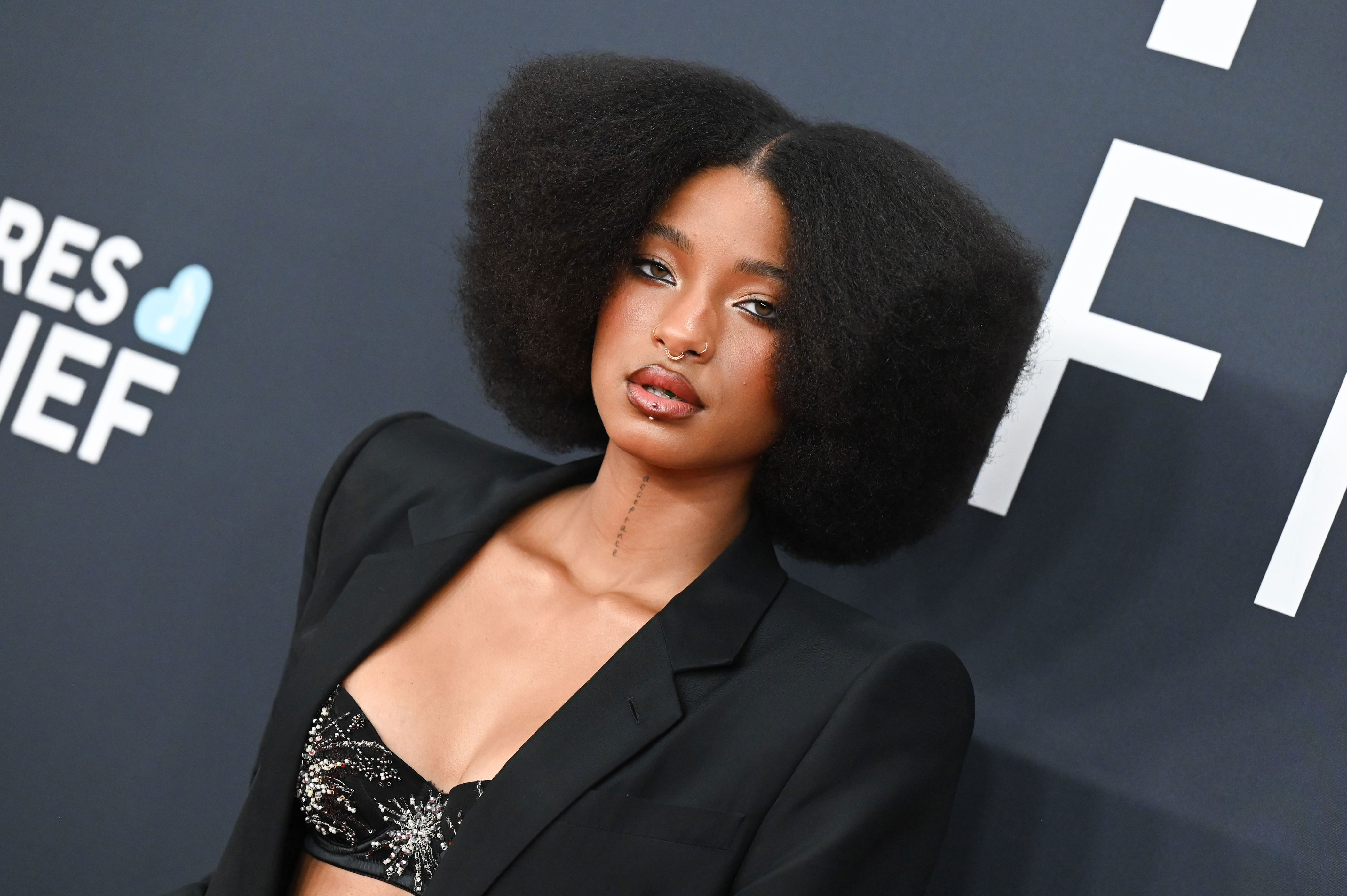 You Need to See Willow Smith's Stacked Updo From Every Angle