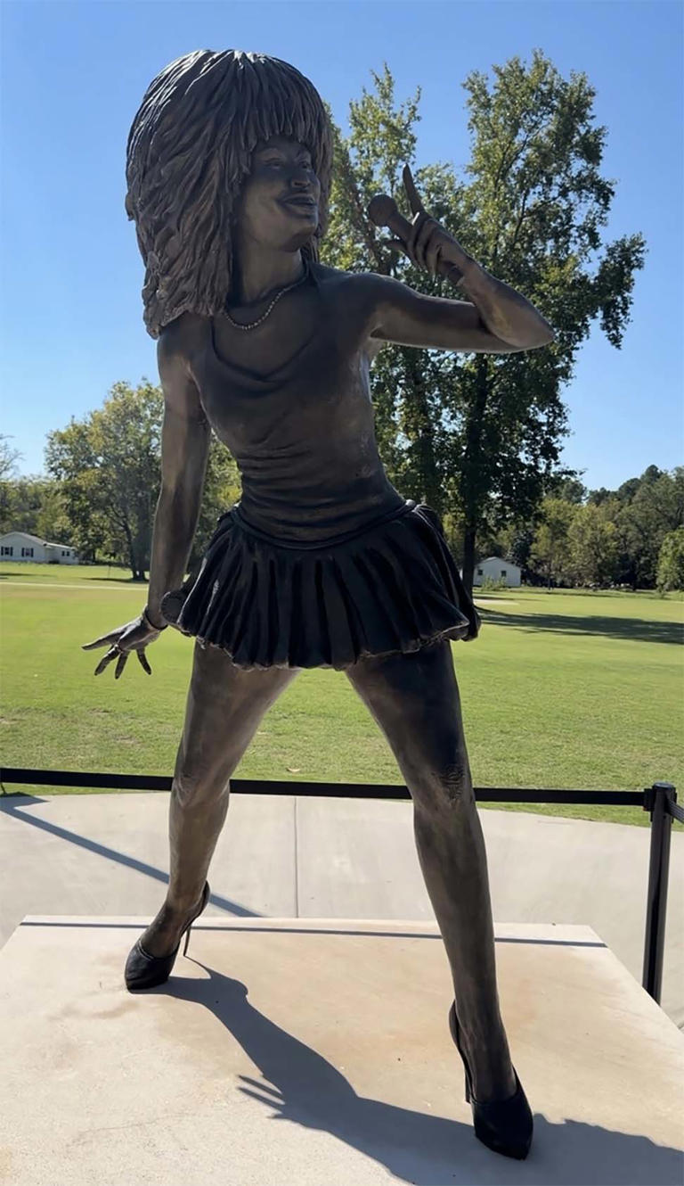 ‘So disrespectful’: Tina Turner fans slam statue unveiled in late star's hometown
