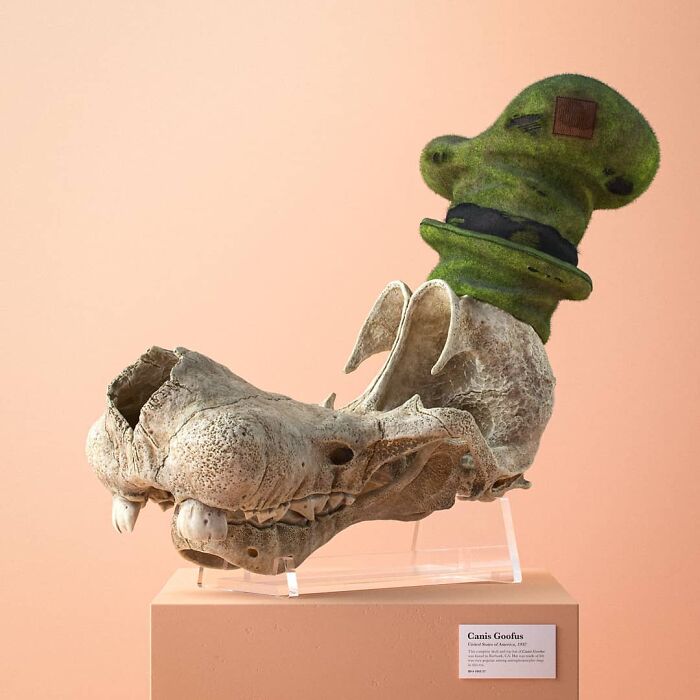 Artist Creates Anatomically Correct Skulls Of Popular Cartoon ...
