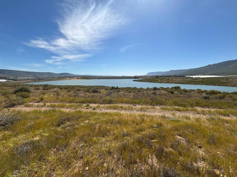 Chichester berry company expands its footprint to South Africa