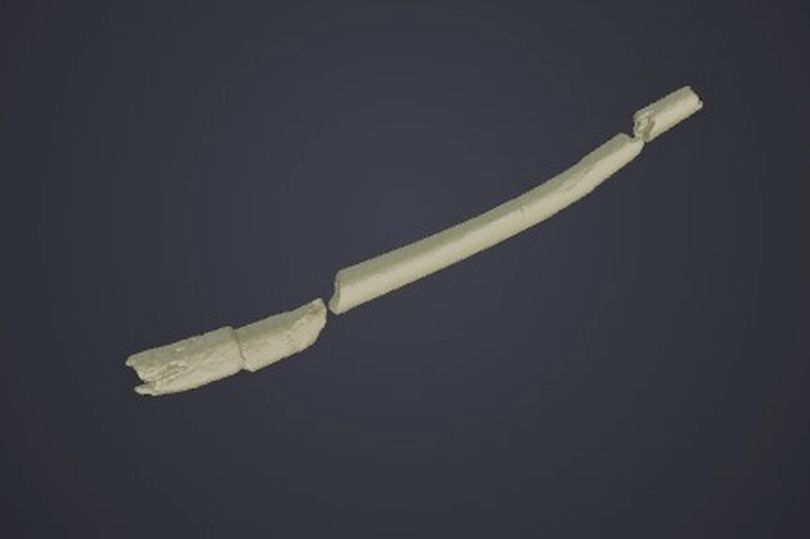 New species of ancient Jurassic reptile that roamed Scotland discovered