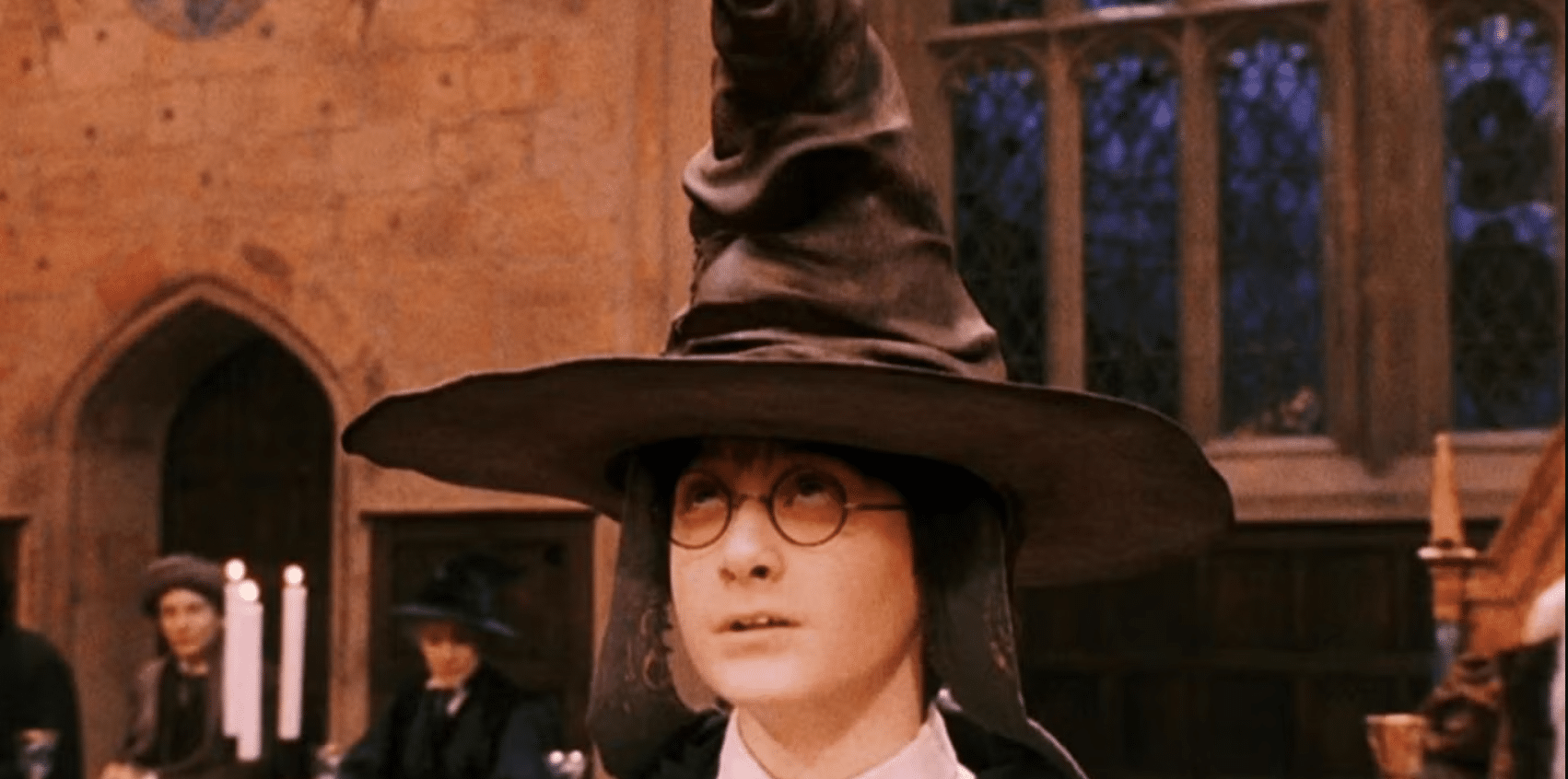 25 Things Only a True Potterhead Understands