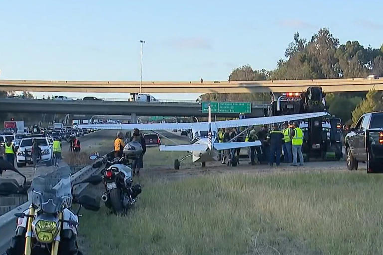 Wild video shows small plane make emergency landing on freeway during ...