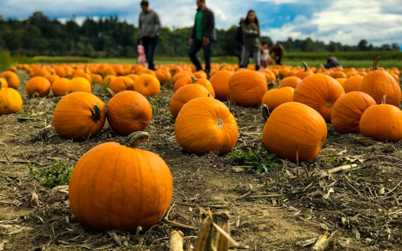 10 Iconic Thanksgiving Vacation Ideas for Families in the U.S.