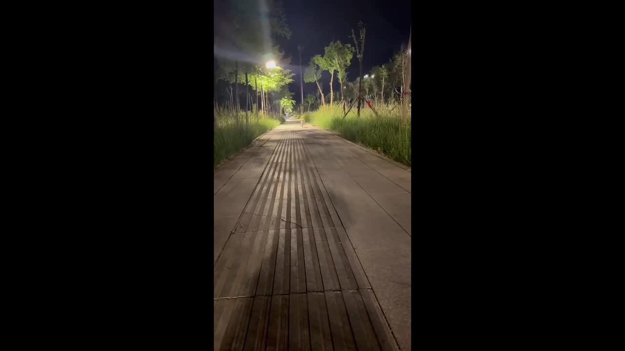 Puppy performs hard brake while running in China