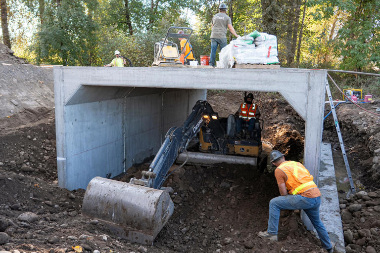 Grand Ronde restores passage for threatened salmon and steelhead along ...