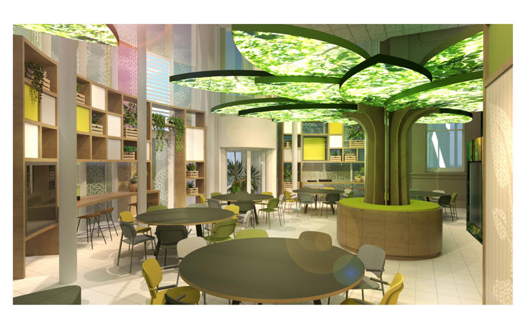 Transformational - Watch as Sunderland Museum and Winter Gardens set to ...