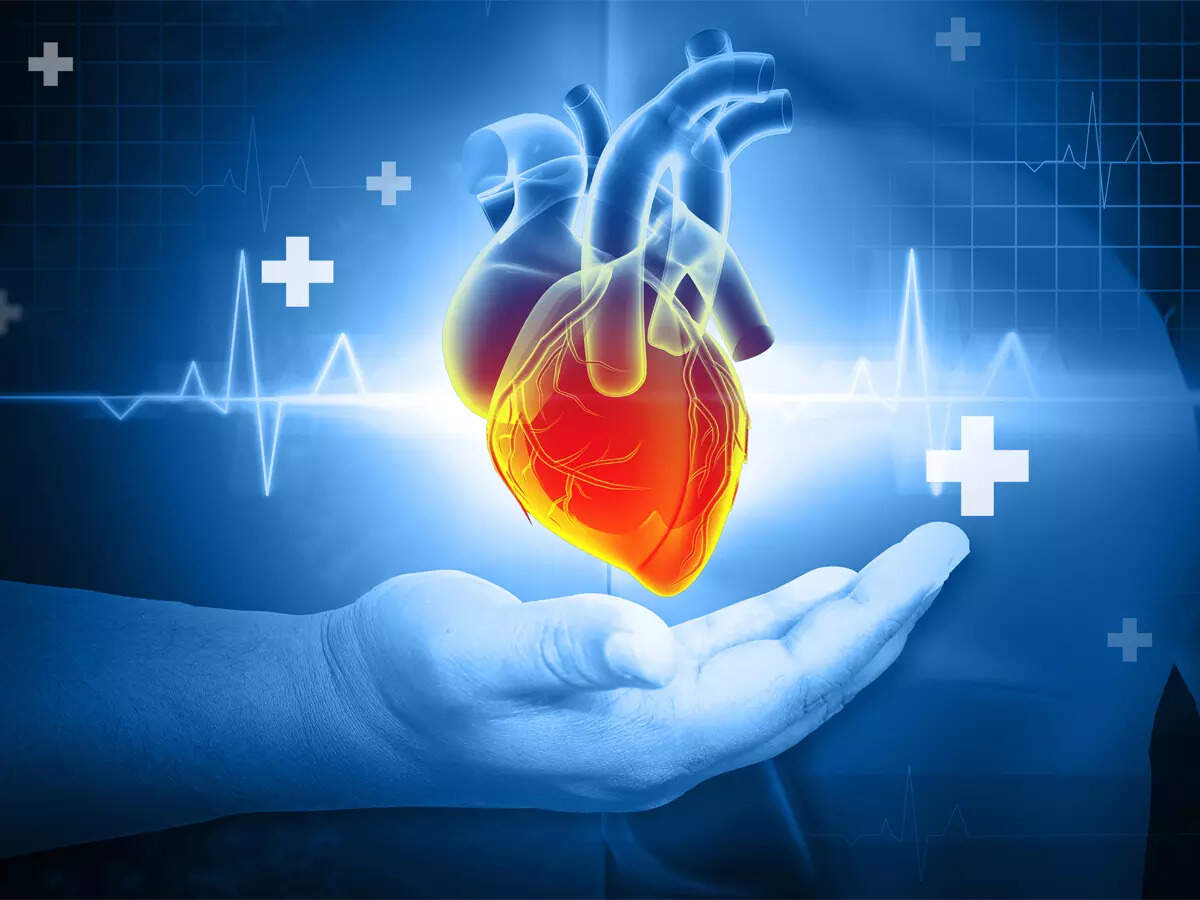 Want healthier arteries? Try these 5 foods to boost blood circulation ...