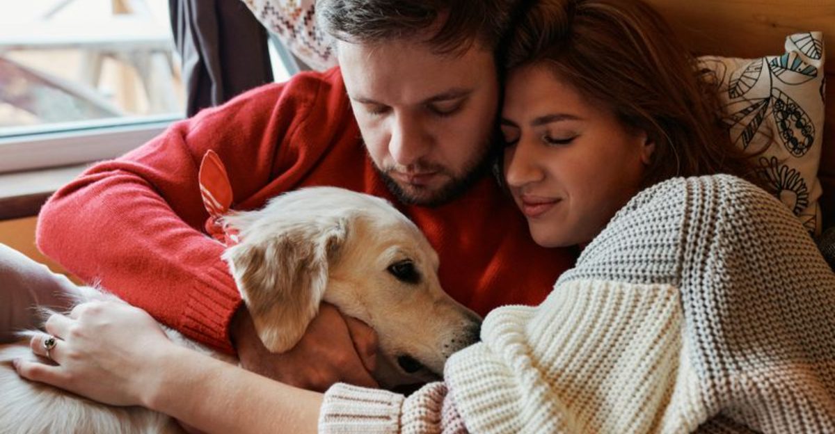 22 Dog Breeds Known for Their Love of Snuggling