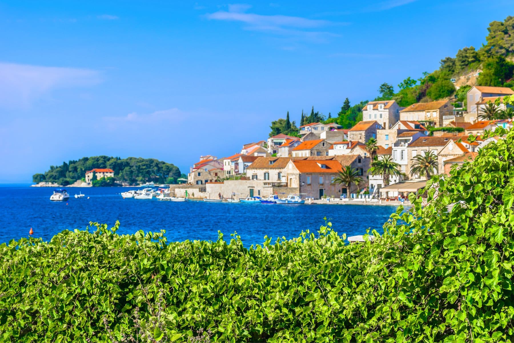 10 Reasons to Visit Vis, Croatia: A Peaceful Paradise Like No Other