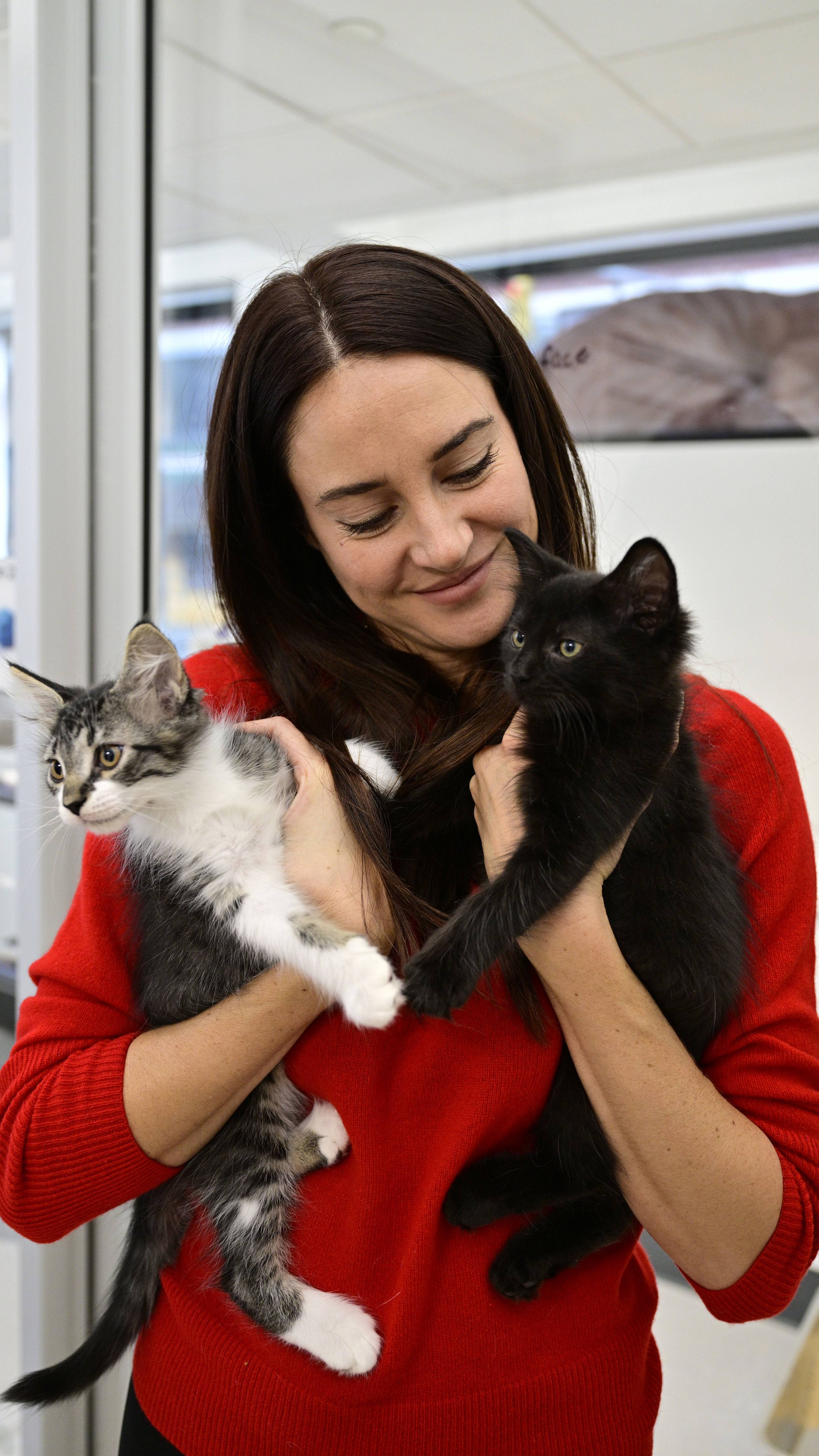 Actress Shailene Woodley says adopting two rescue cats has ‘changed her ...