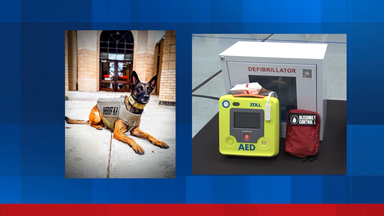 Several Alabama laws go into effect Oct. 1st; two involve police K-9s ...