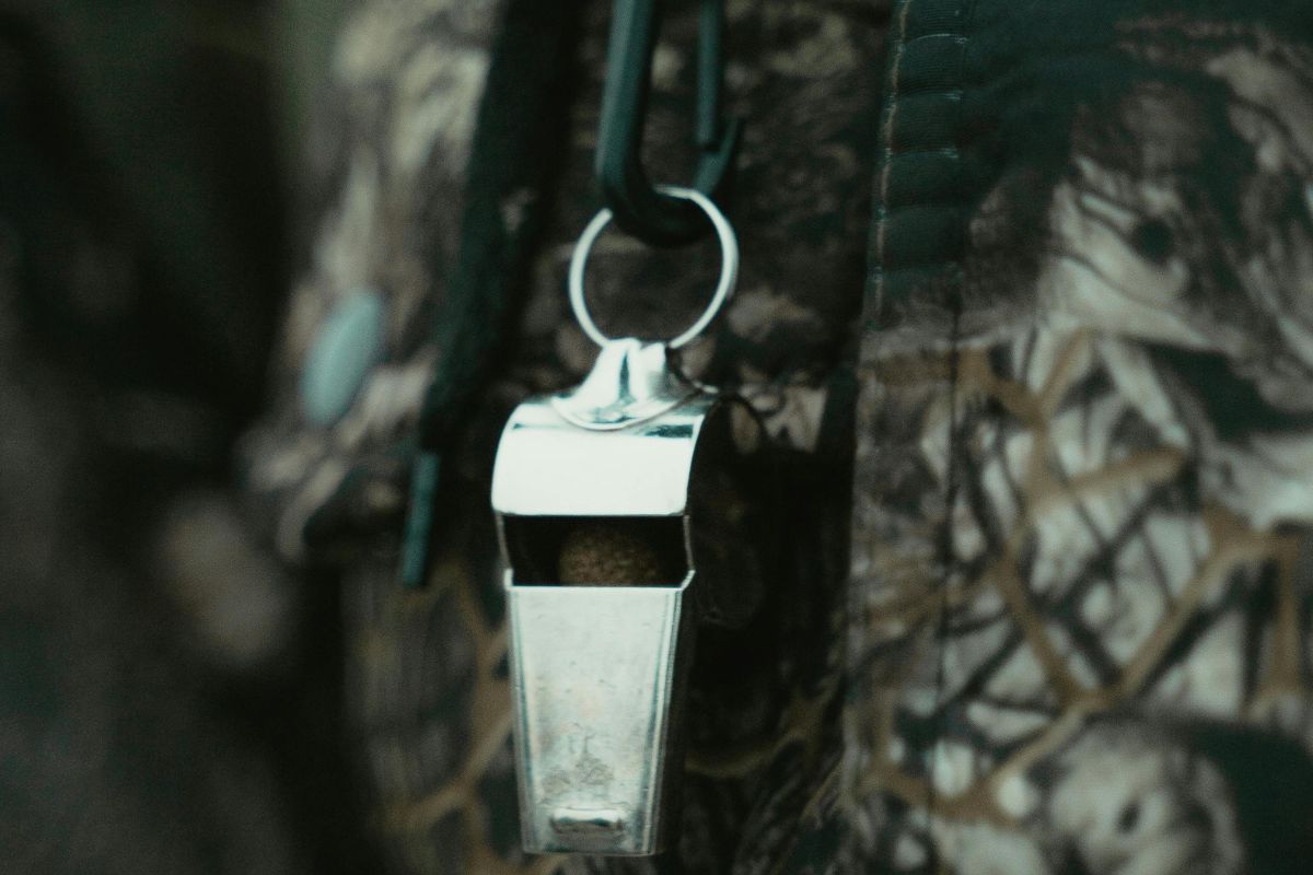 12 Must Have Essentials for Hiking and Camping to Guard Against Animal ...