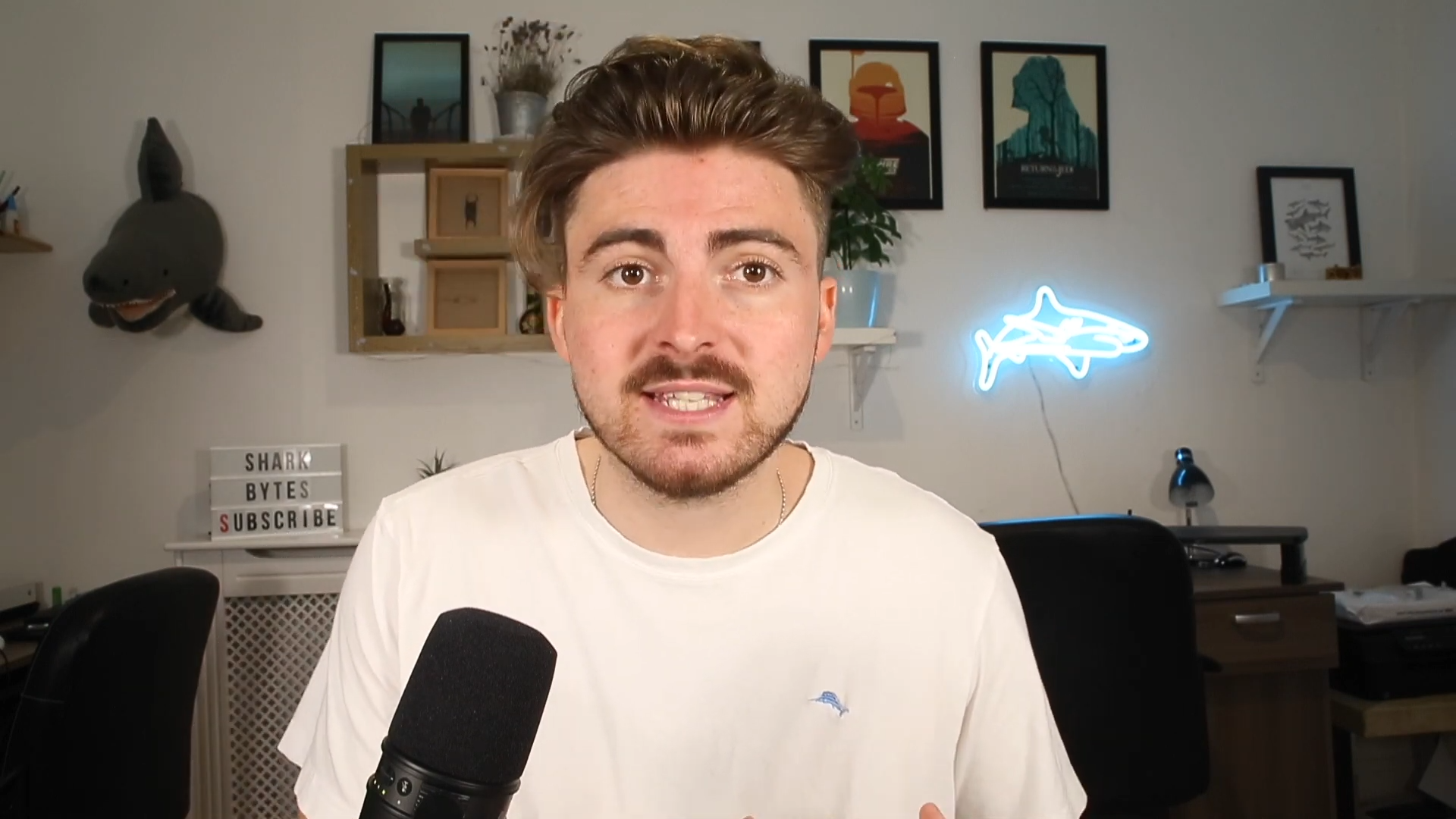 Three Things To Know Before Becoming A Shark Scientist