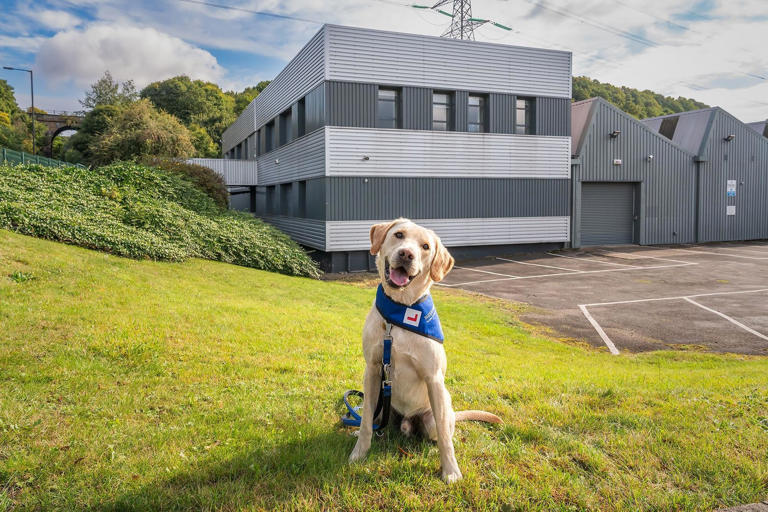 King’s representative is given exclusive tour of Support Dogs’ new ...