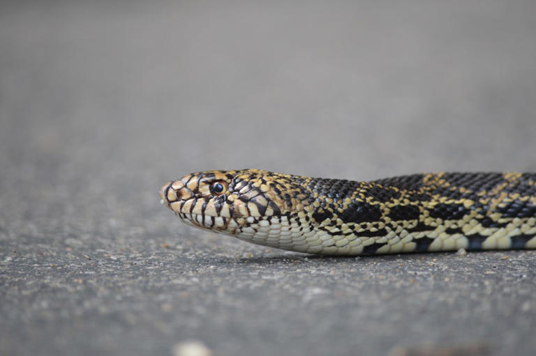 Mental Health Experts Share 8 Rare Fears That Might Actually Make Sense