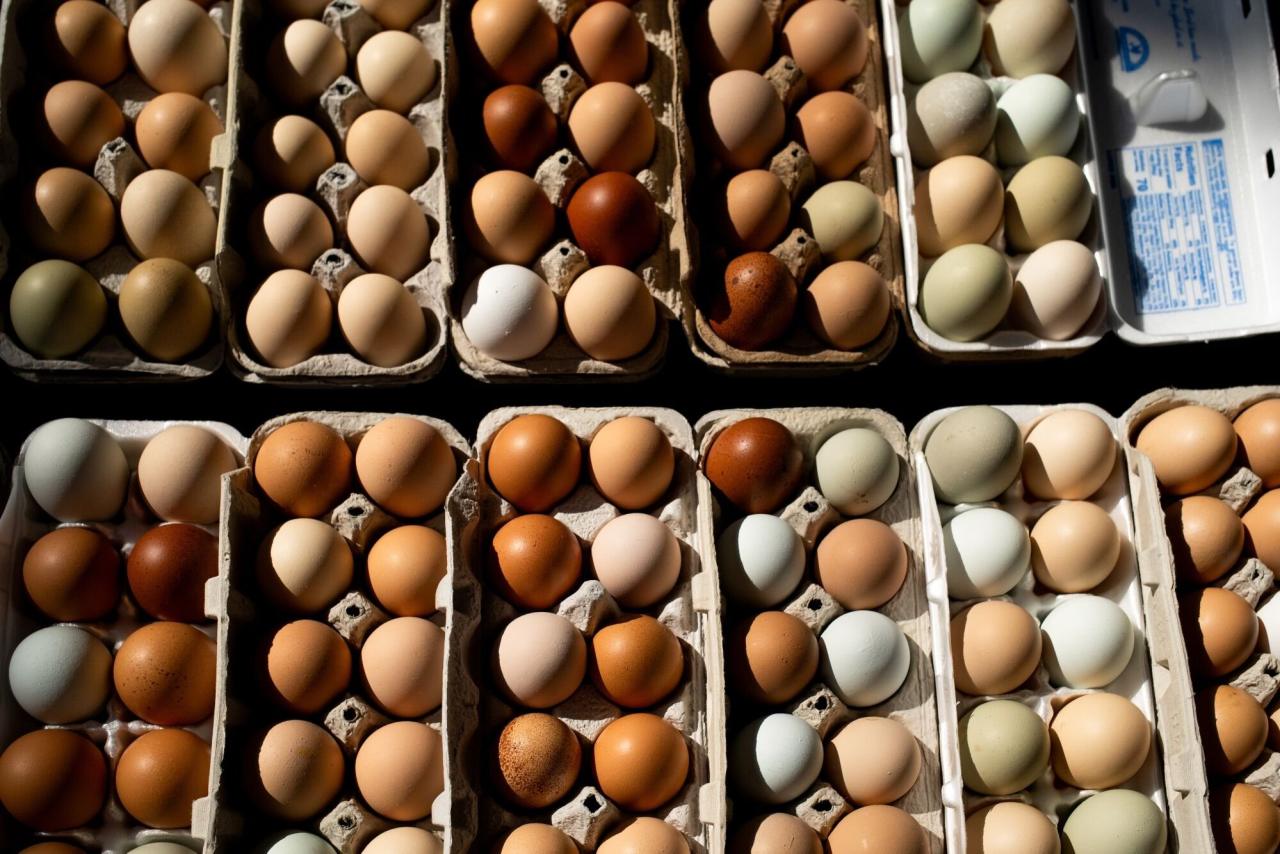 Cal-Maine Foods Bets on Specialty Eggs, Prepared Foods as Profit, Sales ...