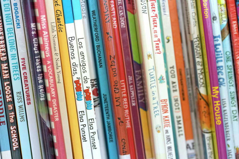 See the more than 500 new books HISD could purchase for the 2025-26 ...