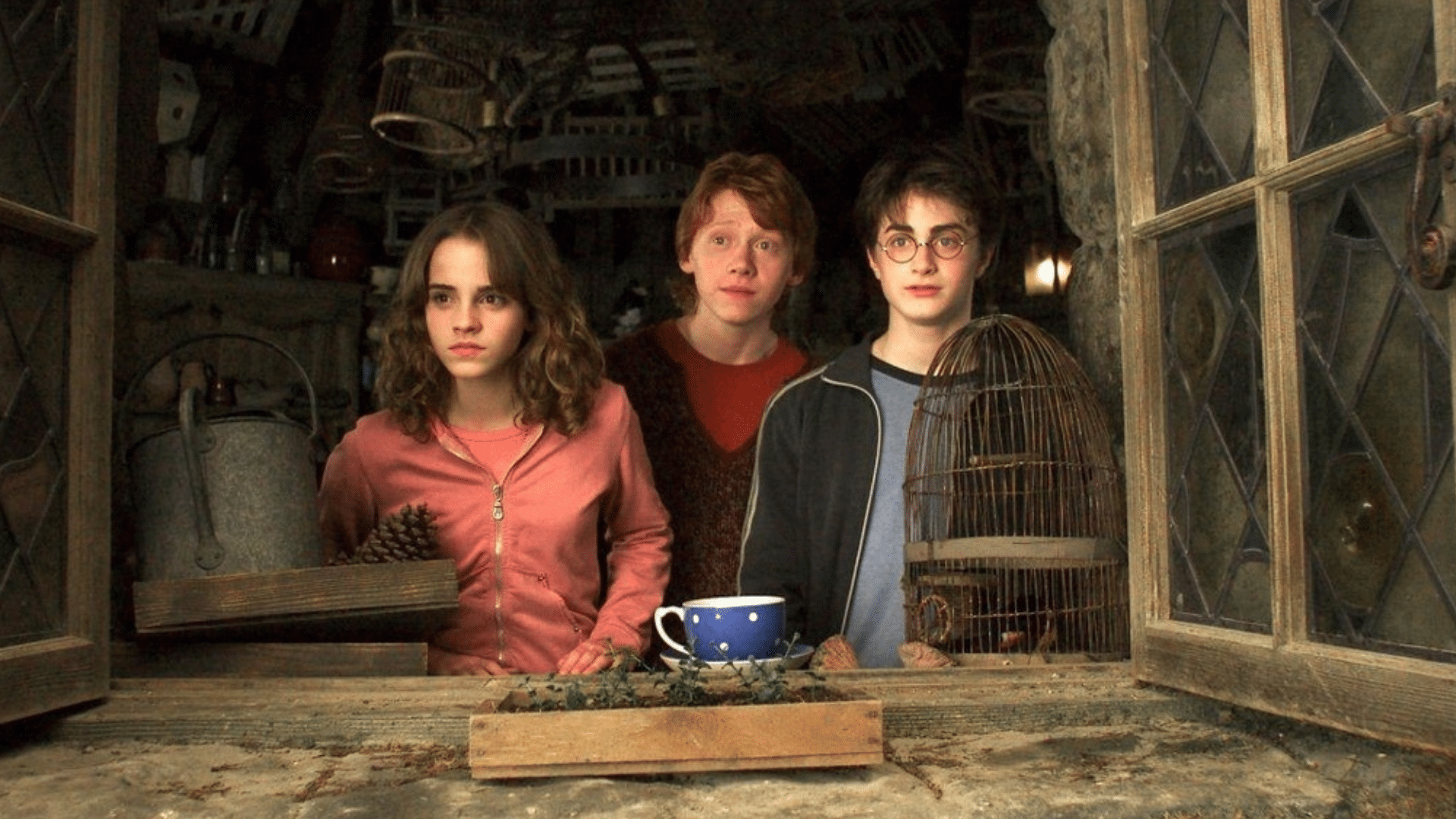 25 Things Only a True Potterhead Understands
