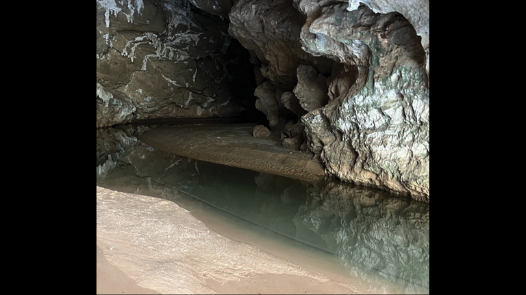 Cave creature - with ‘shimmering' cheeks - discovered as new species in ...