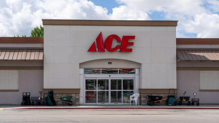 Ace Hardware Has Big Plans To Meet The Needs Of A Growing Customer Base