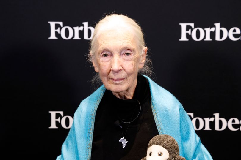 Chimp expert Jane Goodall who 'revolutionised science' dies