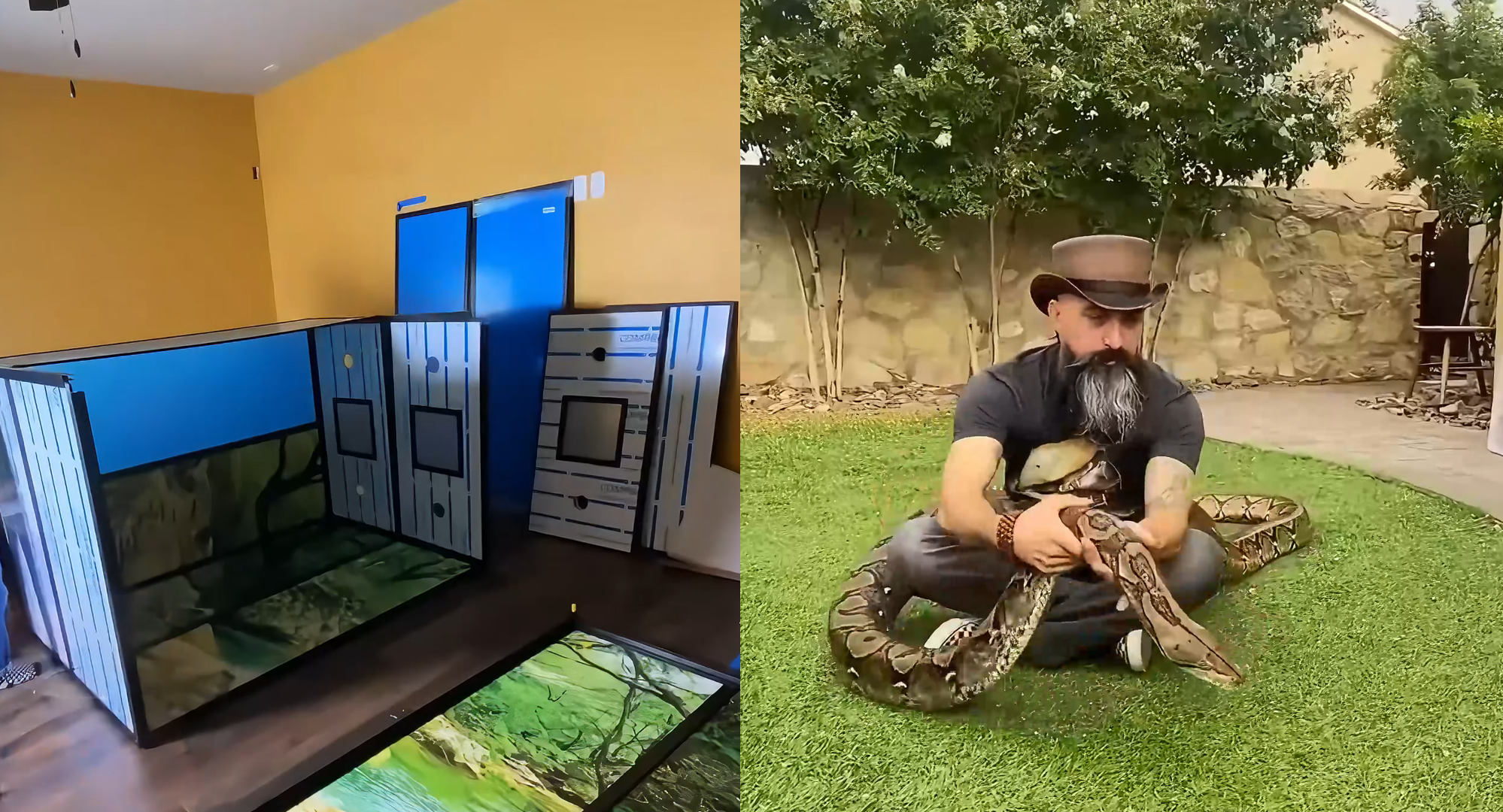 Building a gigantic snake enclosure!