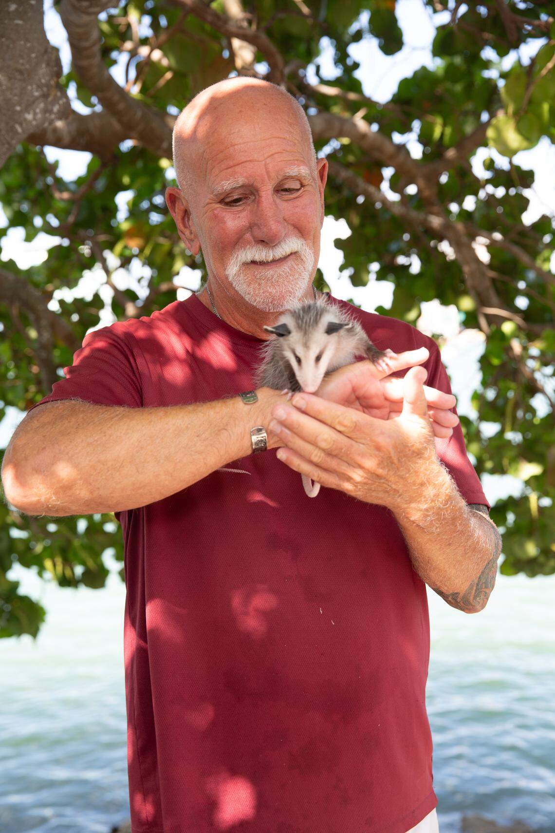 Pelican Harbor Seabird Station hosts open call to create wildlife mural