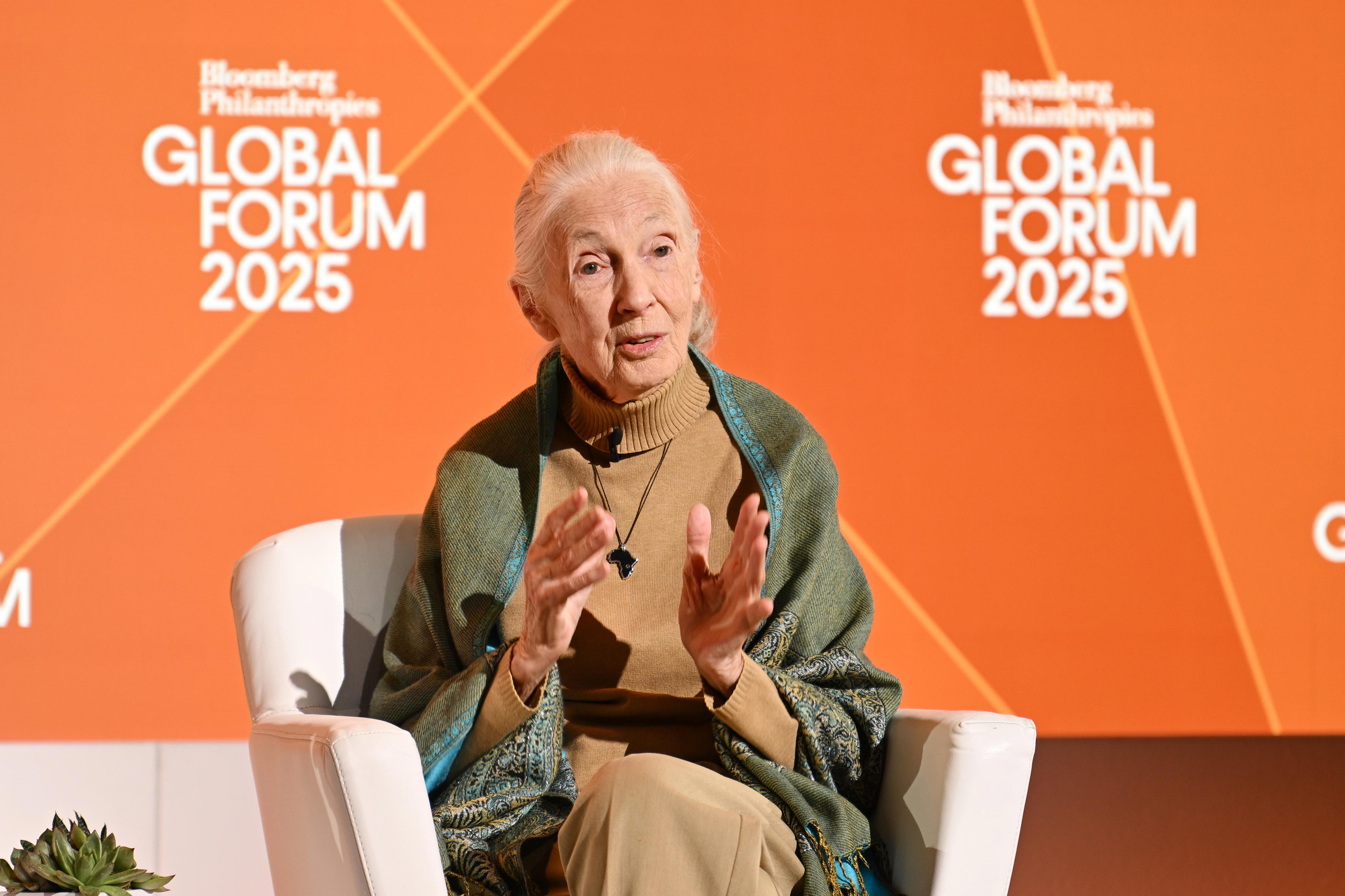 Jane Goodall cause of death: How did the legendary conservationist die?